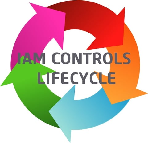 You have IAM controls defined - now what?