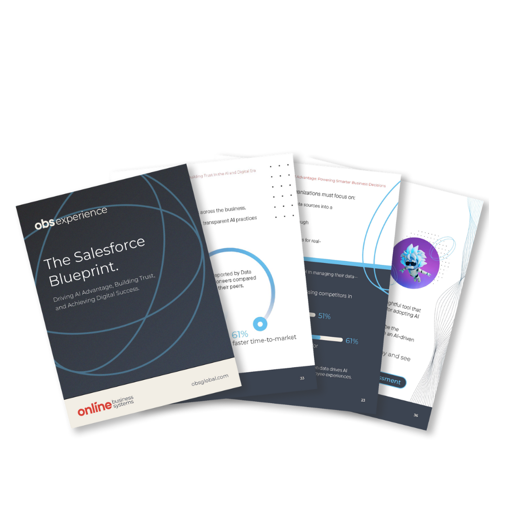 The Salesforce Blueprint Private Download